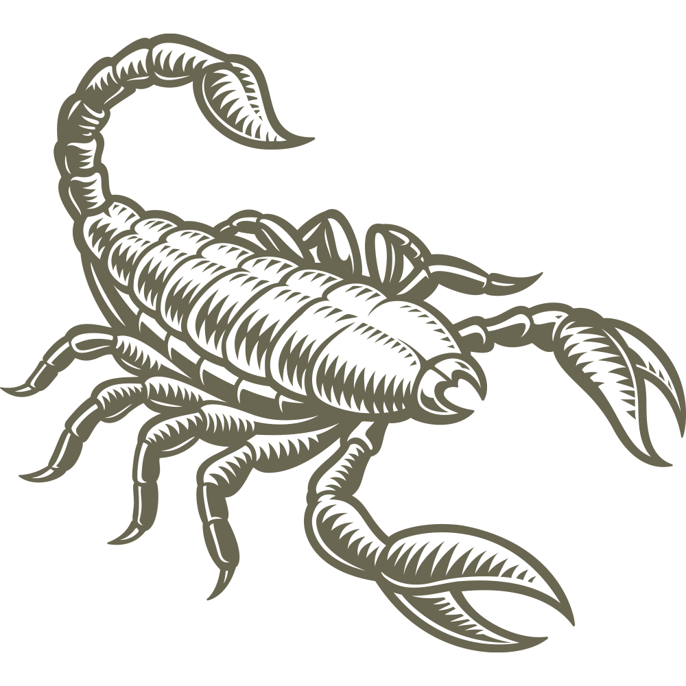 Scorpio Zodiac Sign Scorpion Delrin Leather Stamp